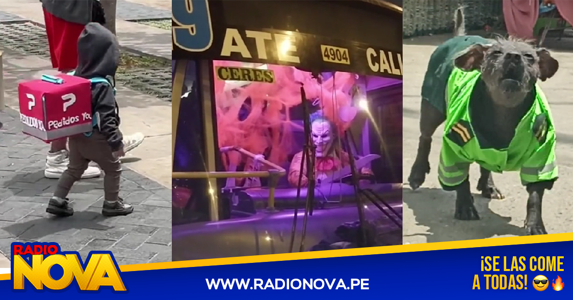 #VIRAL: Mira los disfraces más creativos de los peruanos en Halloween ...